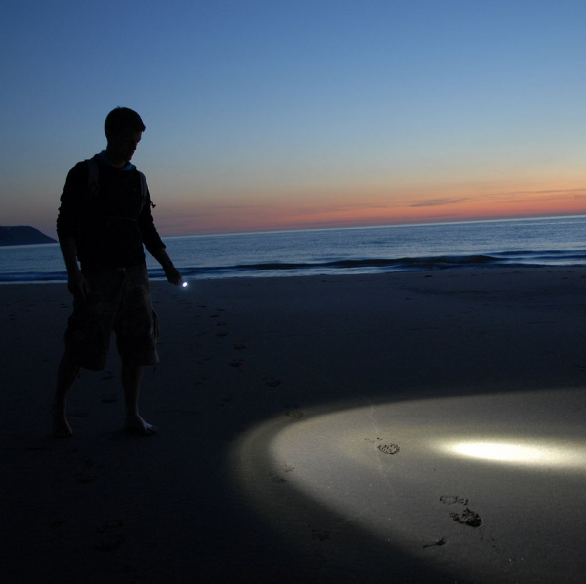 Lifesystems Intensity 480 LED Hand Torch (AA Batteries) – Landers ...